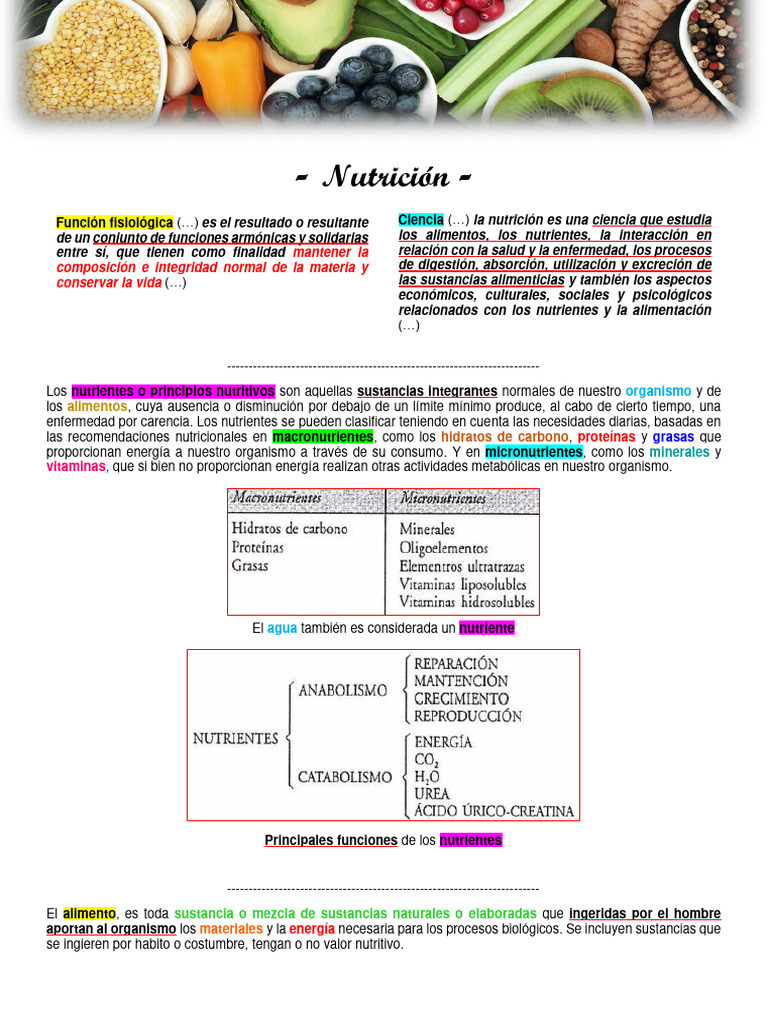 Clase - 1 - Compressed | PDF | Nutrición | Dieta y nutrición
