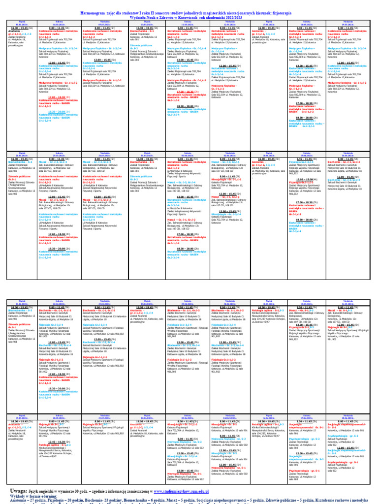 Fizjoterapia JMGR Nstac 1r Z | PDF