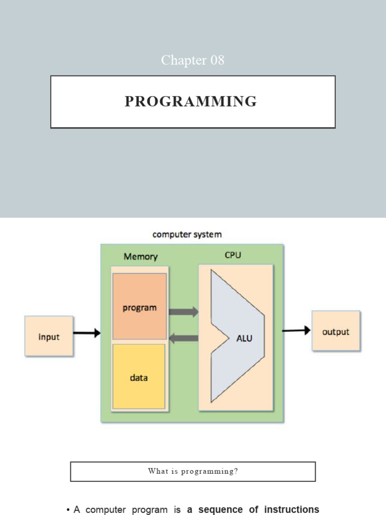 Chapter 8 | PDF | Variable (Computer Science) | Data Type