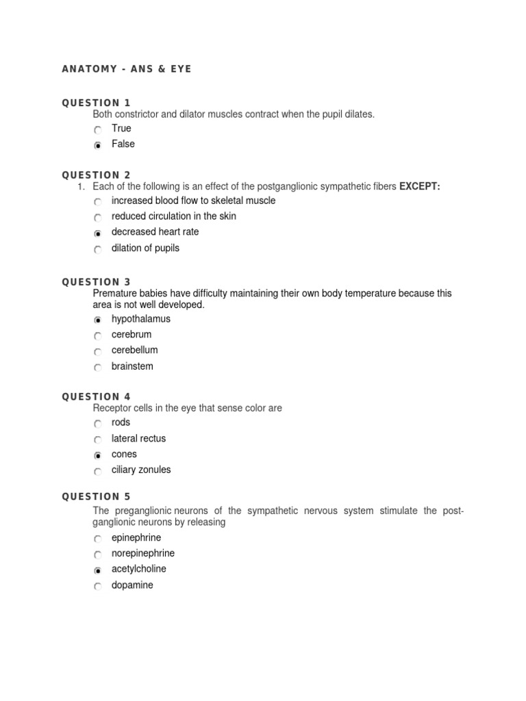 Anatomy of ANS and Eye Functions | PDF