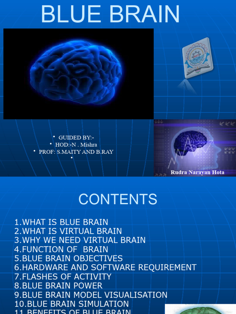 Blue brain | PDF | Brain | Cerebral Cortex