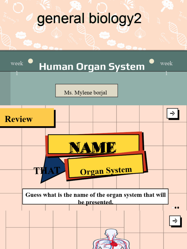 Introduction To Human Body System | PDF | Human Body | Muscle