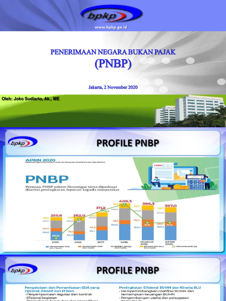 Objek dan Fungsi PNBP di Indonesia | PDF