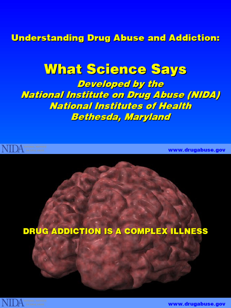 Drug Abuse and Addiction Insights | PDF | Drug Rehabilitation ...