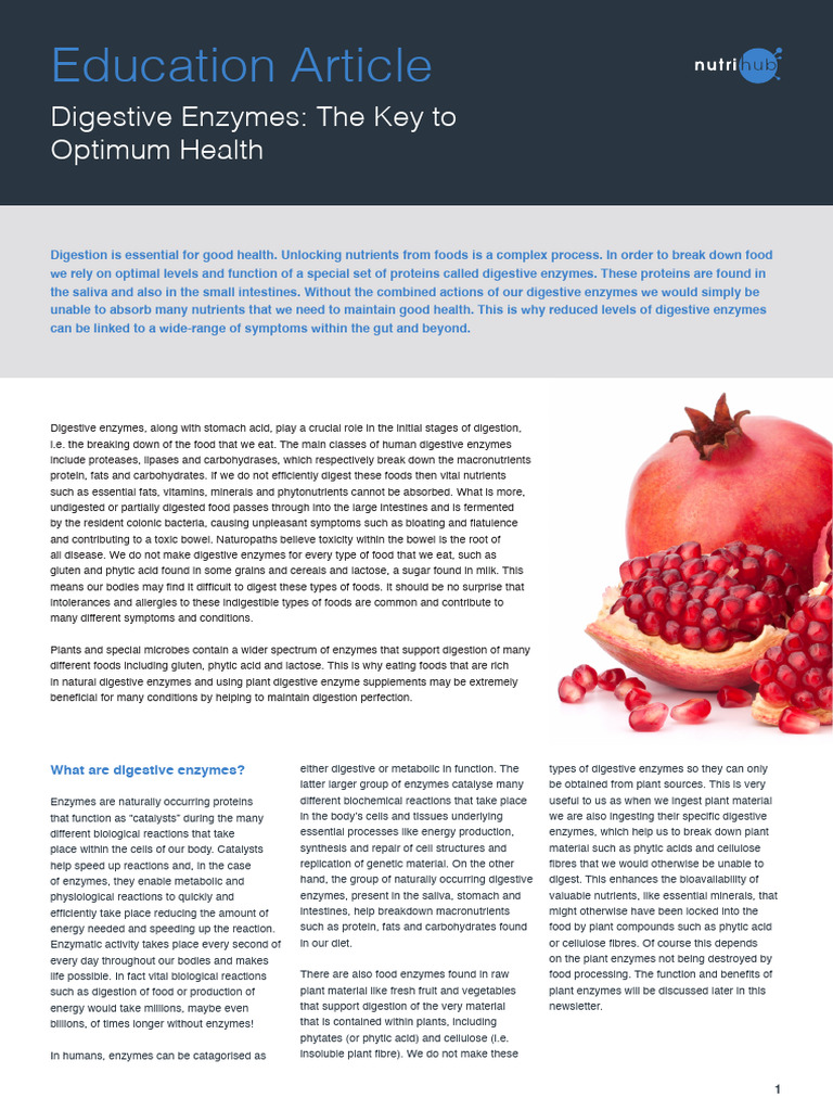 Digestive Enzymes Education Article Web | PDF | Digestion | Human ...
