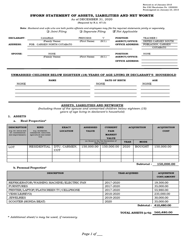 Sal N Princess | PDF | Net Worth | Economies
