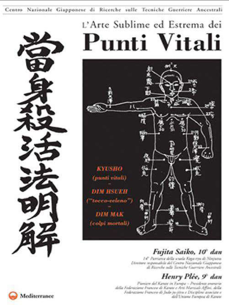 Fujita Saiko & Henry Plée - L'Arte Sublime Ed Estrema Dei Punti Vitali ...
