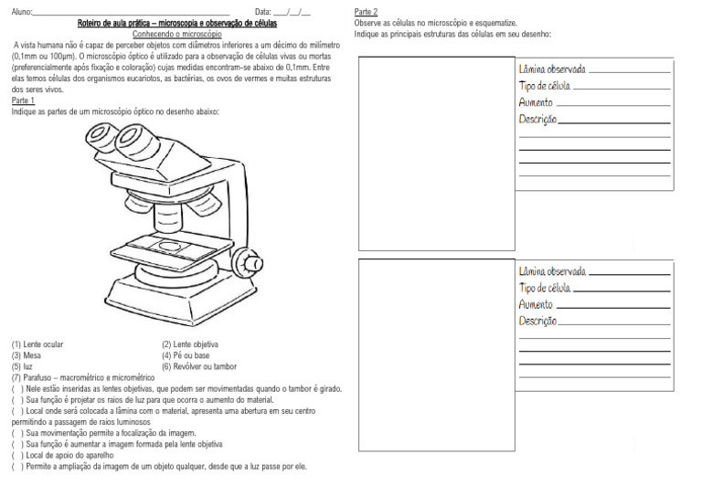 Autla Pratica Roteiro Microscopia e Celula | PDF | Computadores
