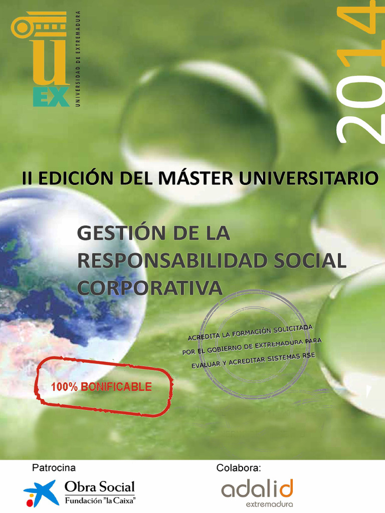 Dossier Informativo II Edicion Master RSC 2014 15 | PDF ...