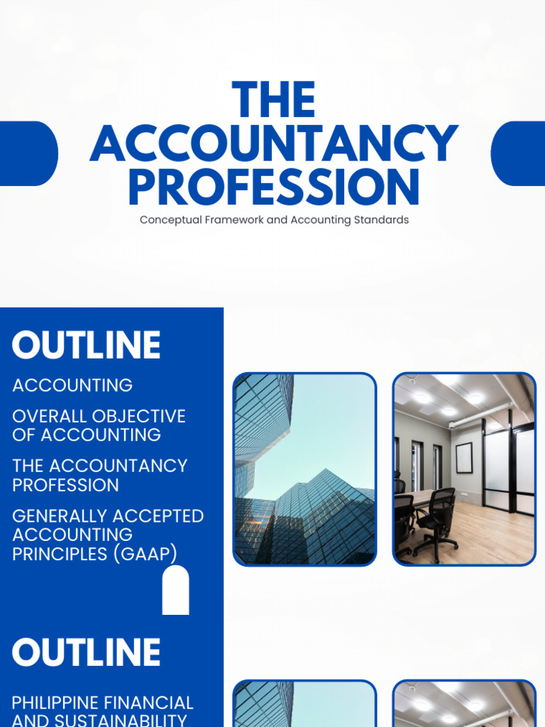 Chapter 1 The Accountancy Profession | PDF | Accounting | International ...