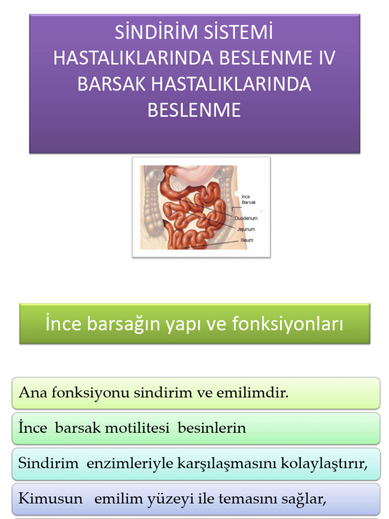 Siì Ndiì Riì M Siì Stemiì Hastaliklarinda Beslenme 4 Compressed | PDF