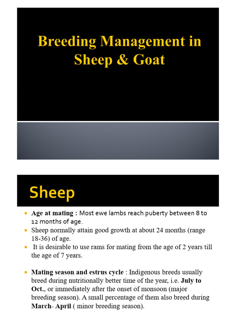 Sheep and Goat Breeding Guide | PDF | Sheep | Sexual Reproduction