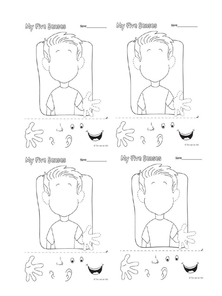 My Five Senses | PDF
