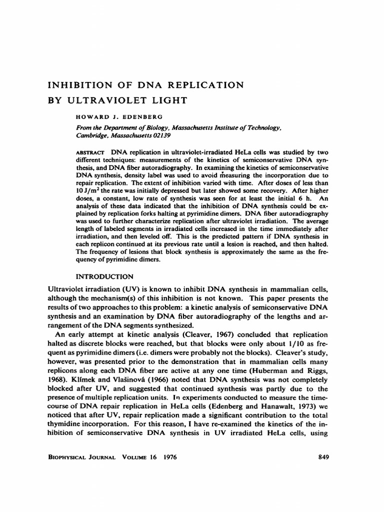Edenberg1976. Inhibition of DNA Replication by Ultraviolet Light | PDF ...