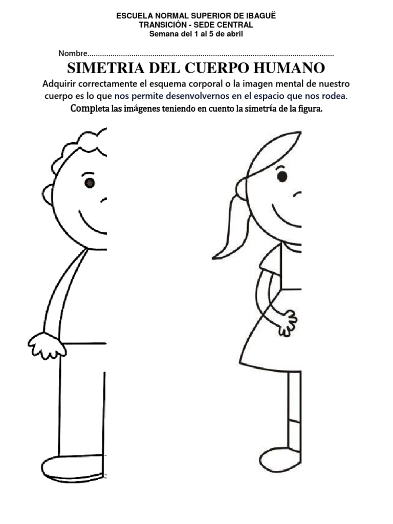 Simetria De La Figura Humana Pdf