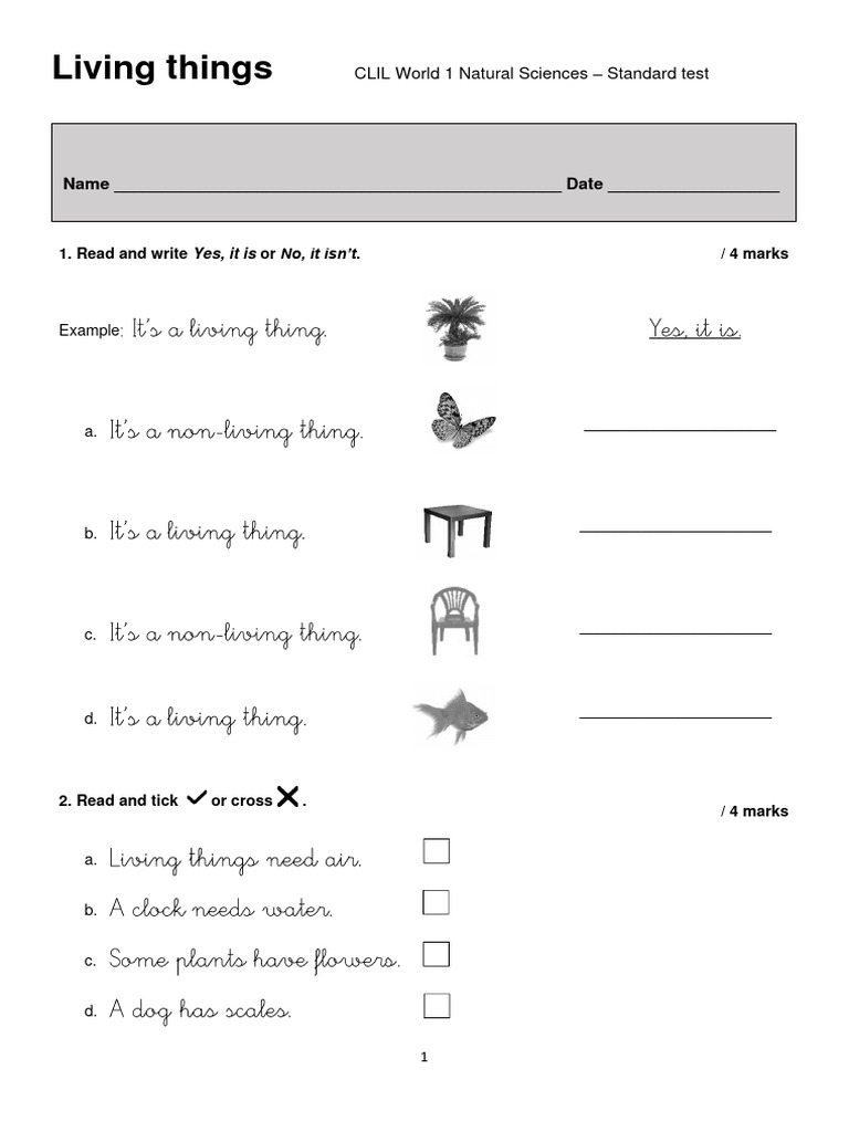 Living Things Test Standard | PDF | Plants | Botany