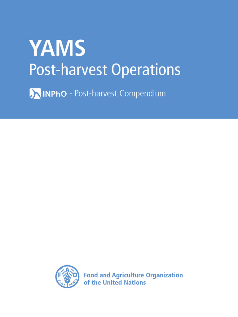 Yam Post Harvest | PDF | Agriculture