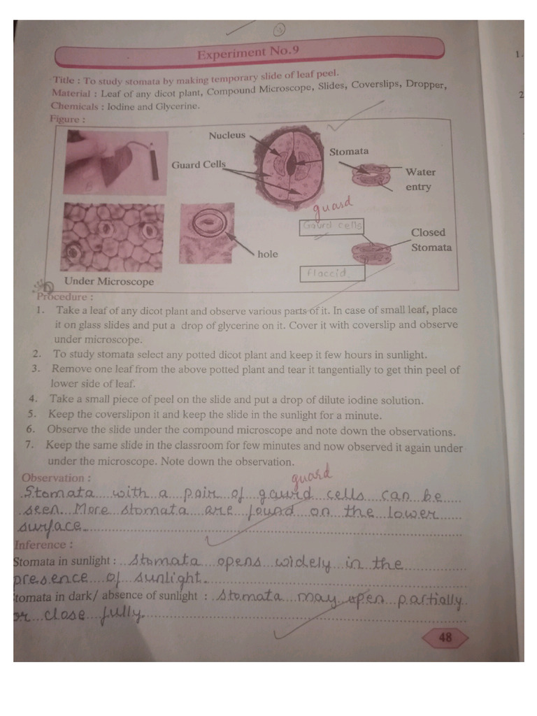 9th STD Science Prac 2 | PDF