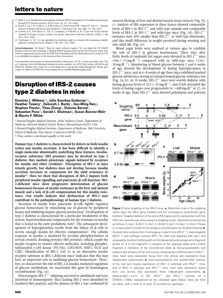 Disruption of Isr2 | PDF | Insulin | Insulin Resistance