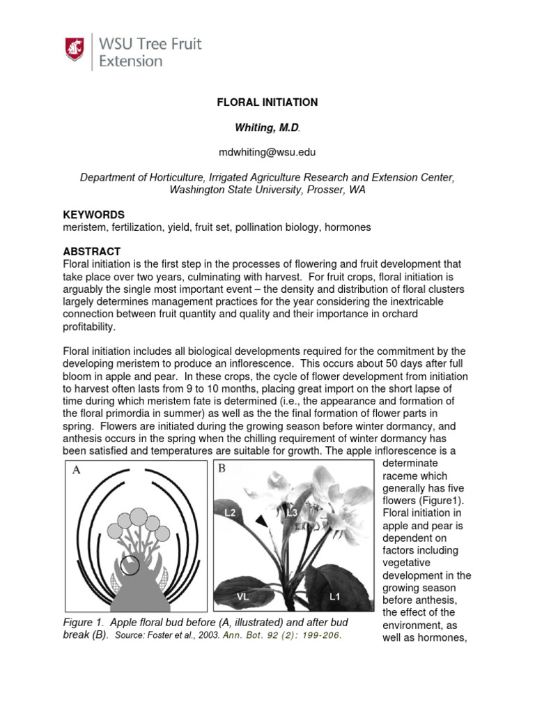 03 Whiting Floral Init | Download Free PDF | Flowers | Plant Hormone