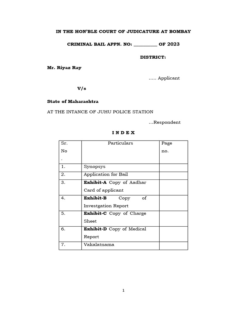 Draft Bail | PDF | Bail | Acquittal