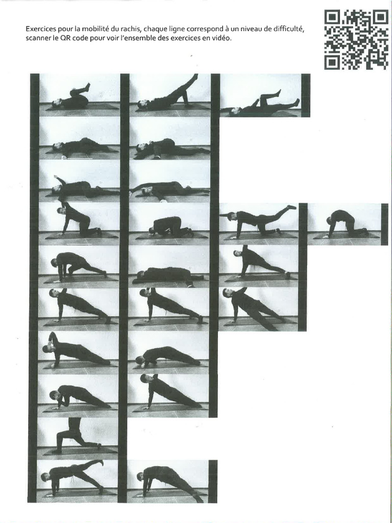 KINE | PDF