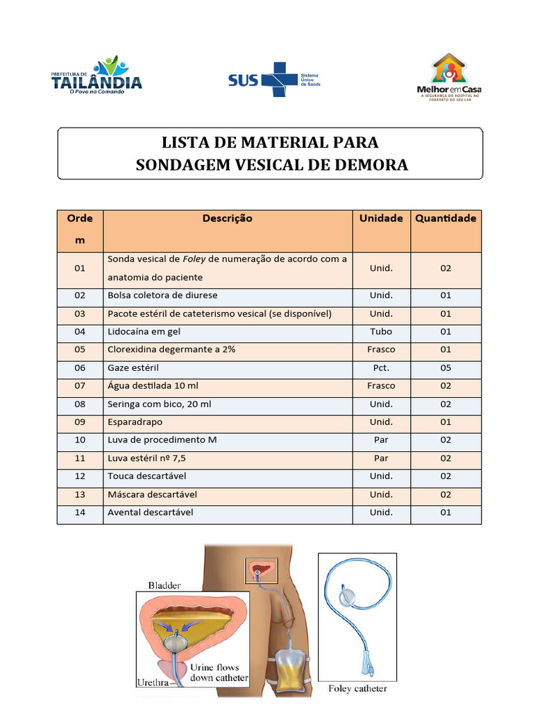 Checklist para Sondagem Vesical de Demora | PDF