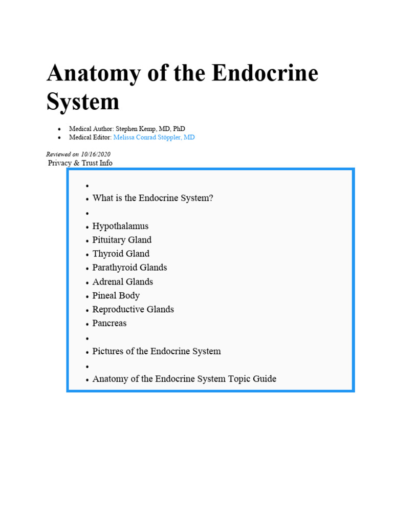 Anatomy of The Endocrine System | PDF | Endocrine System | Hypothalamus
