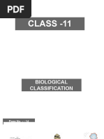 Fiitjee Big Bang Sample Papers Class Ix | PDF | Colloid | Force