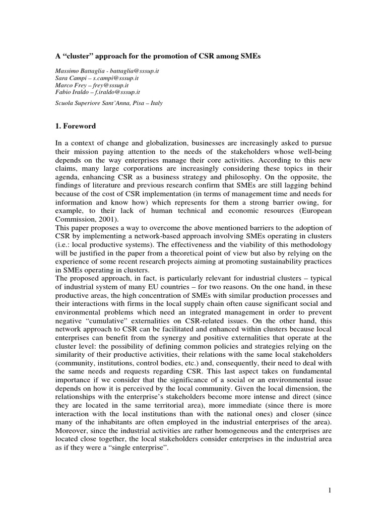 A Cluster Approach For The Promotion of | PDF | Corporate Social ...