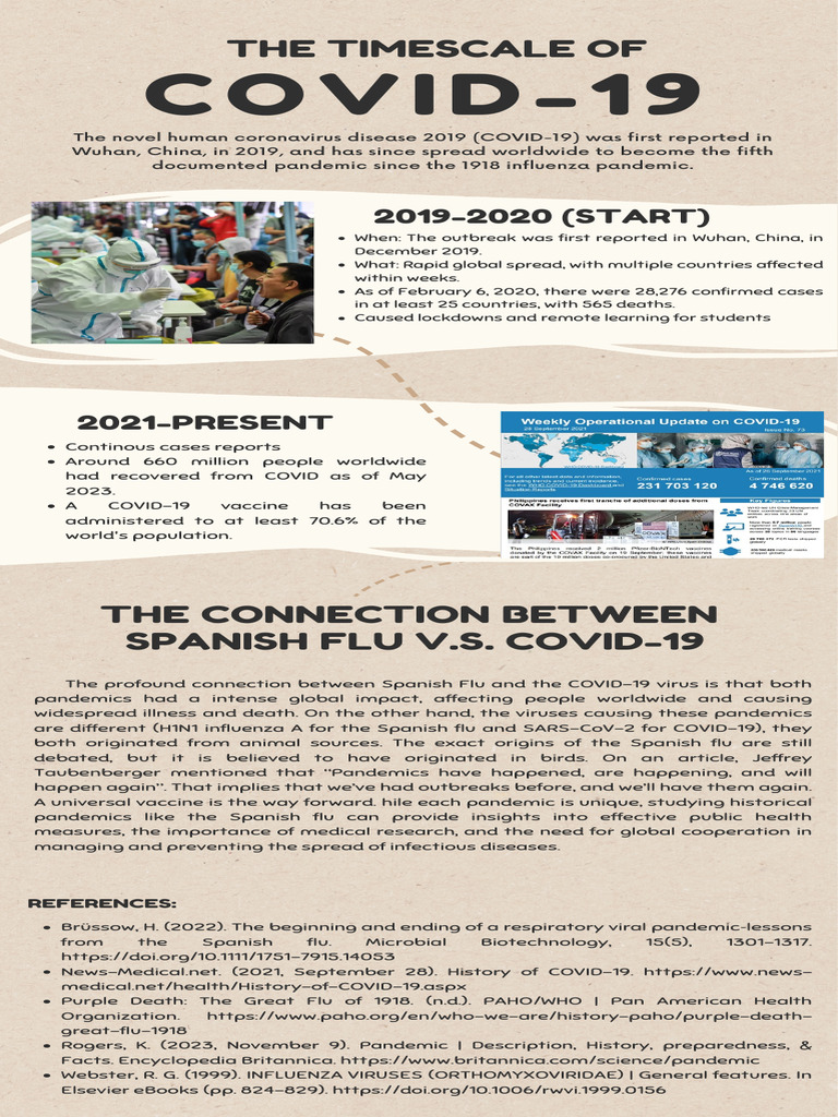 Brown and White Illustrative History Timeline Infographic | PDF ...