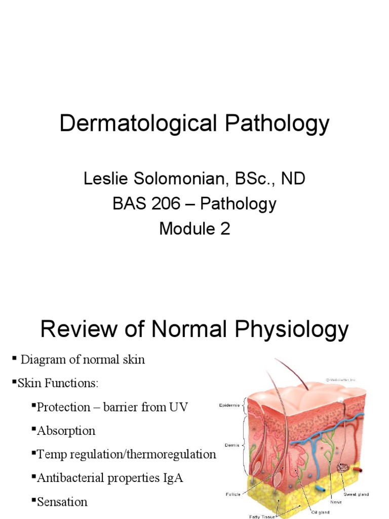 Dermatology Class Notes | PDF | Allergy | Carcinoma