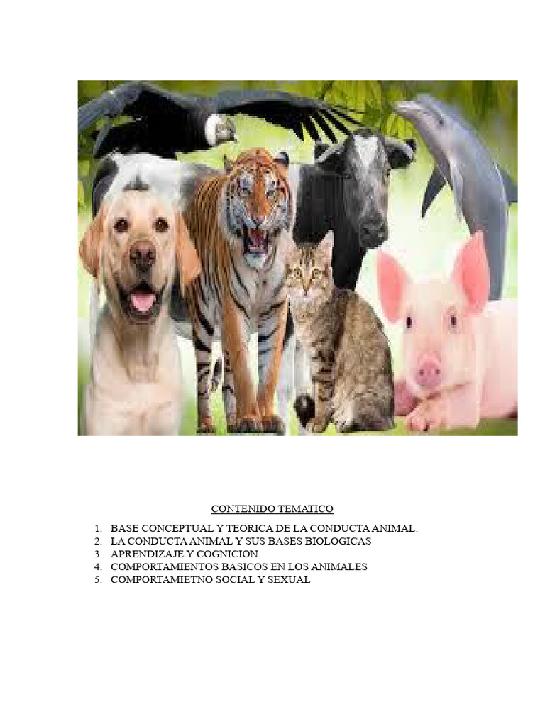 Practica Conducta Animal | Descargar gratis PDF | Sicología ...