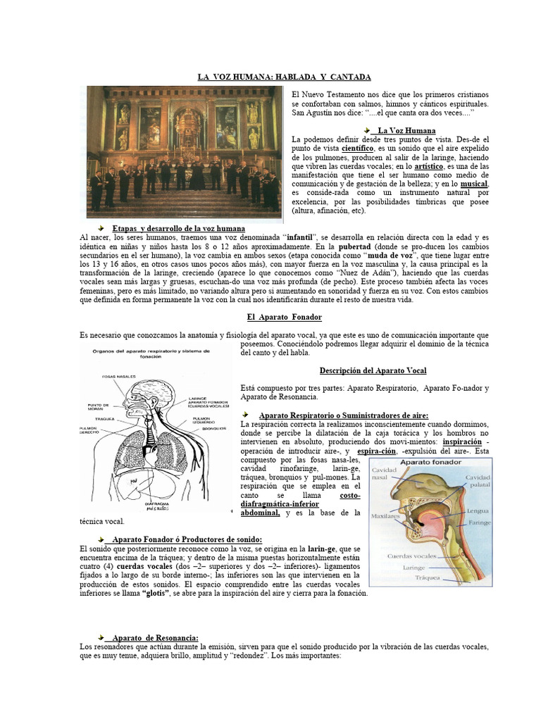 La Voz Humana: Anatomía y Canto | PDF | Coro | Canto