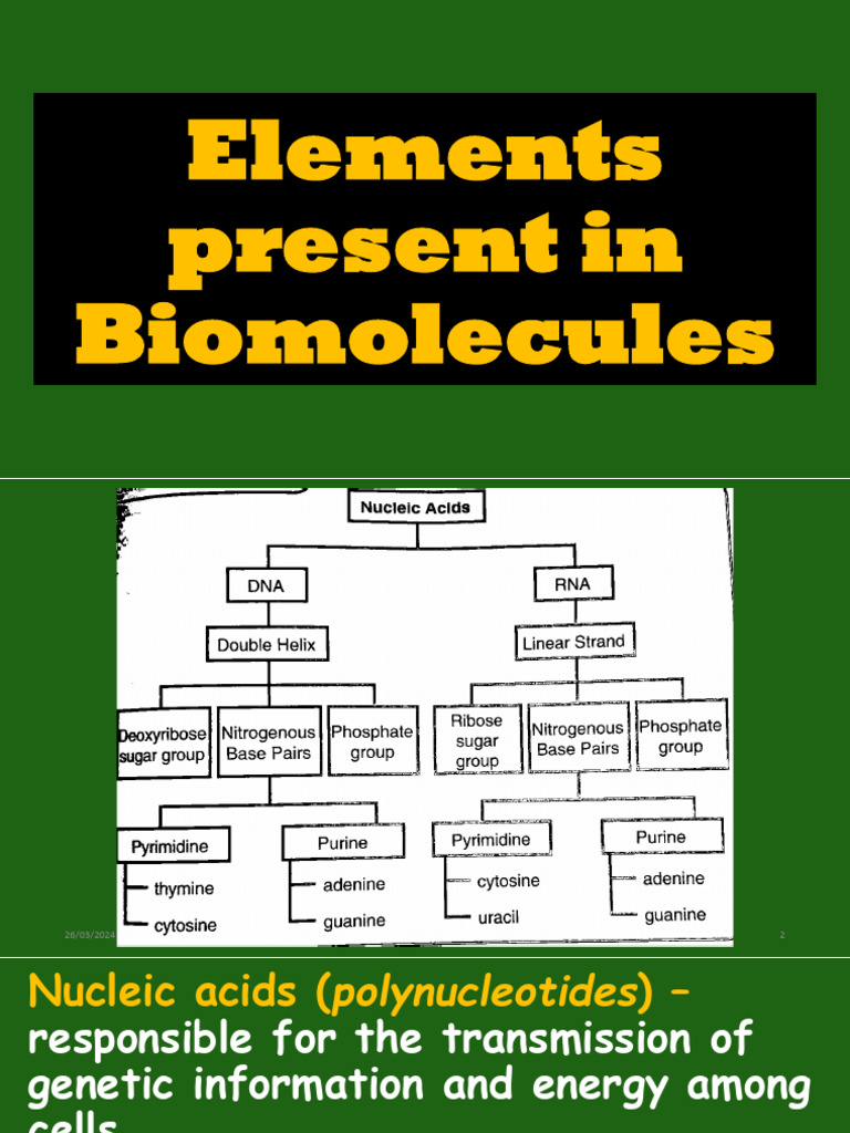 Biomolecules Nucleic Acid (1) | PDF | Nucleic Acids | Nucleotides