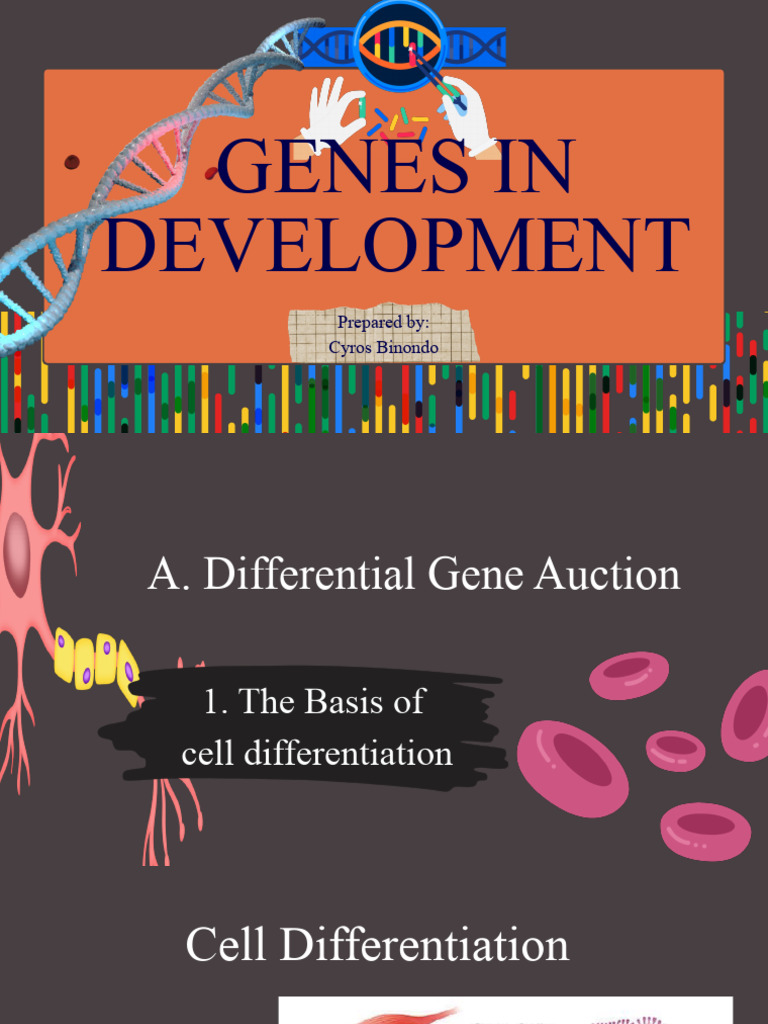 Genes in Development | PDF | Bone Marrow | Haematopoiesis