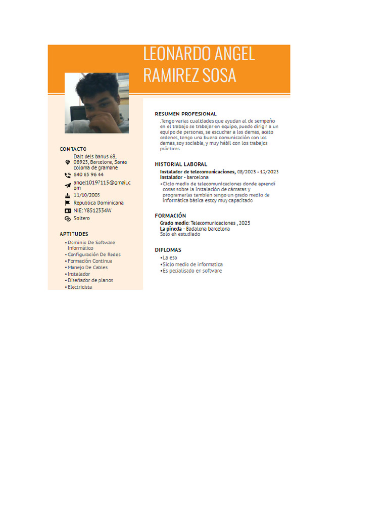 Pt04 - El Curriculum. Ramirez Leonardo Angel | PDF