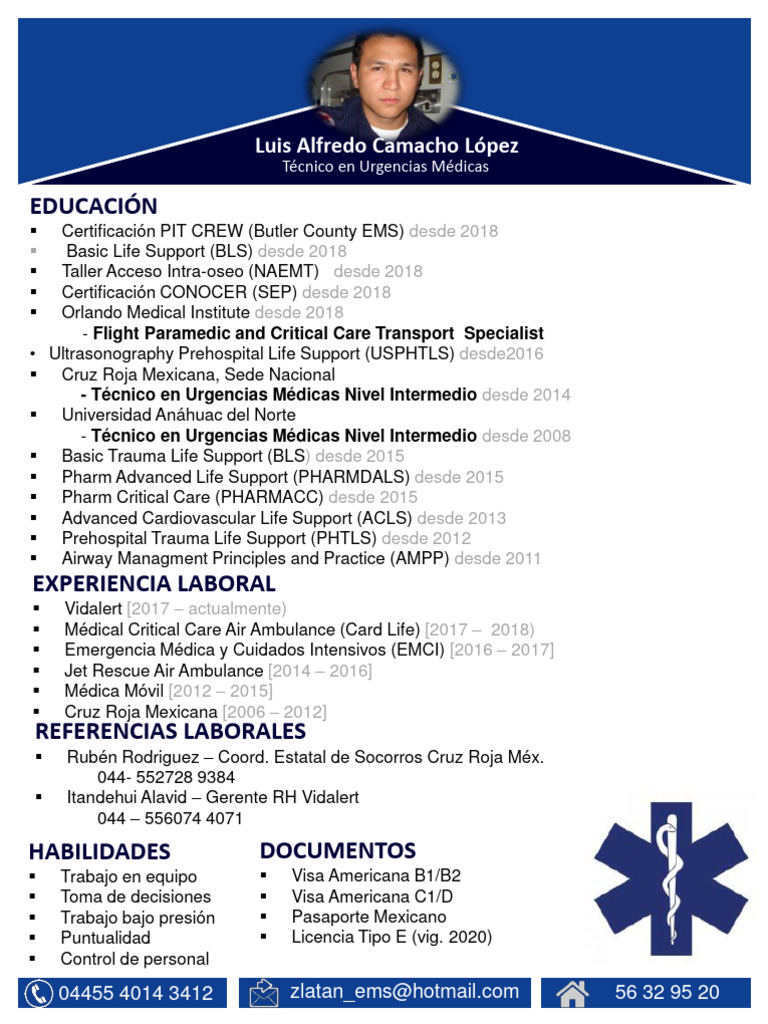 CV Luis Alfredo Camacho López | PDF