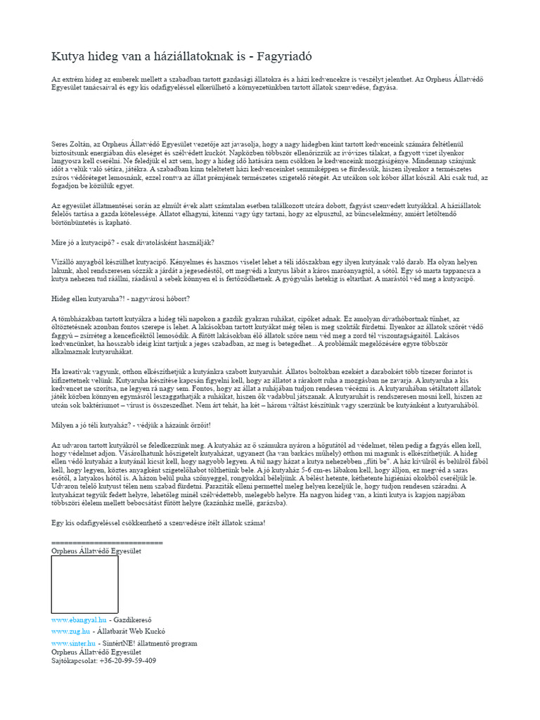 Kutya Hideg Van A Háziállatoknak Is | PDF