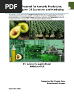 Hass Avocado Farming Guide PDF | PDF | Grafting | Avocado