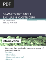 Encapsulated Vs Non Encapsulated Gram Positive Bacteria | PDF