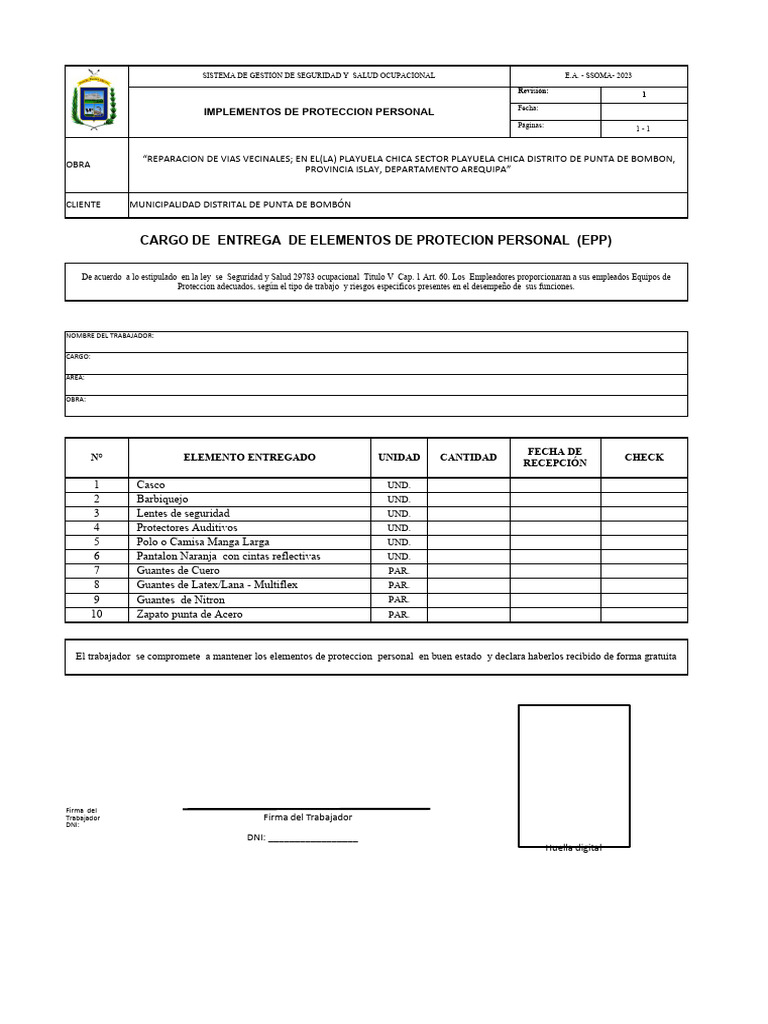 Formato Epps Playuela | PDF
