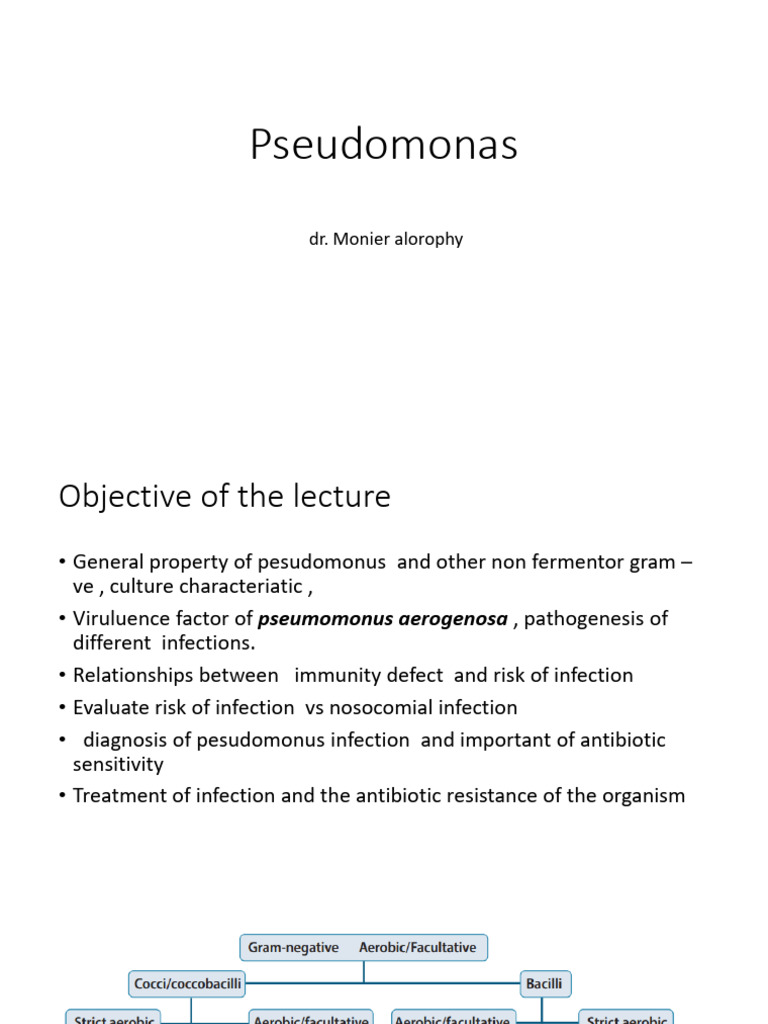 Pseudomonas | PDF | Pseudomonas Aeruginosa | Pseudomonas