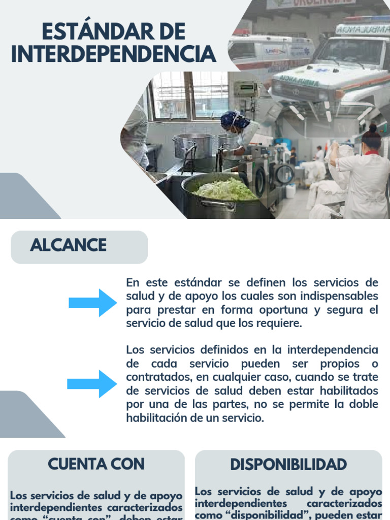 ESTANDAR DE INTERDEPENDENCIA- exposicion | PDF