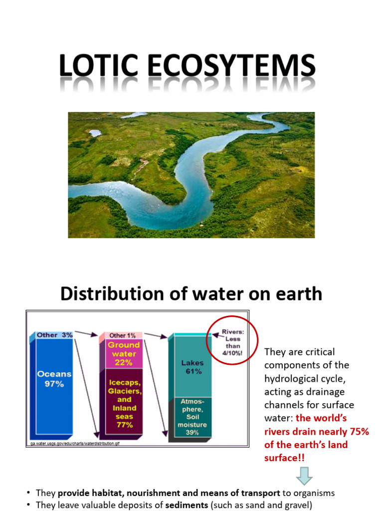 T2. LOTIC ECOSYSTEMS - Hydrology and Geomorphology | PDF | River | Stream