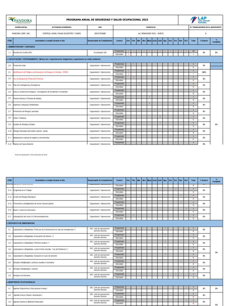 Formato Programa Anual de Seguridad y Salud Ocupacional PASSO 2024 | PDF | Lugar de trabajo ...