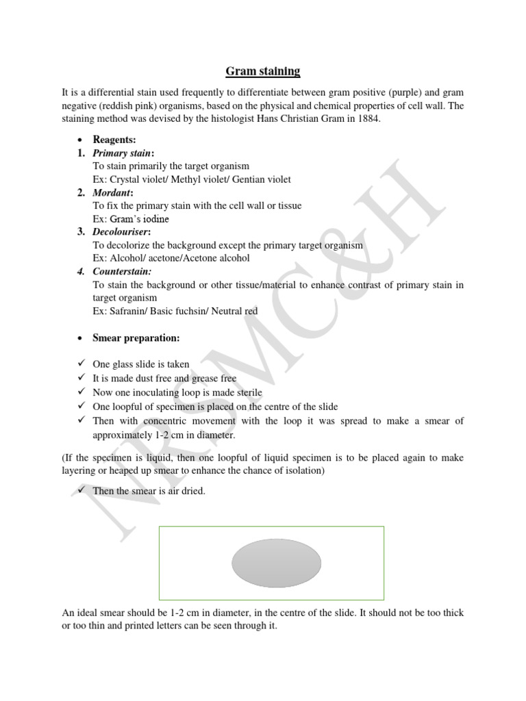 Gram Staining | PDF | Staining | Gram Positive Bacteria