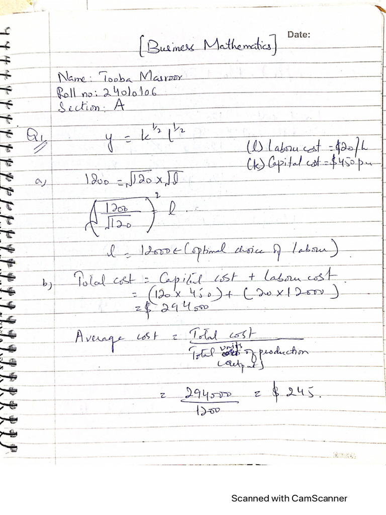 Business Mathematics Assignment | PDF