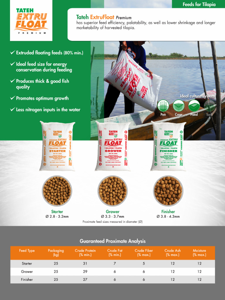 Tilapia Extrufloat - PDF Brochure - Final | PDF