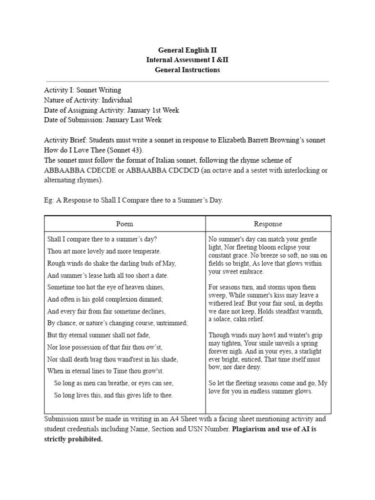 Sonnet Writing & Business Plan Guide | PDF | Marketing | Business Economics